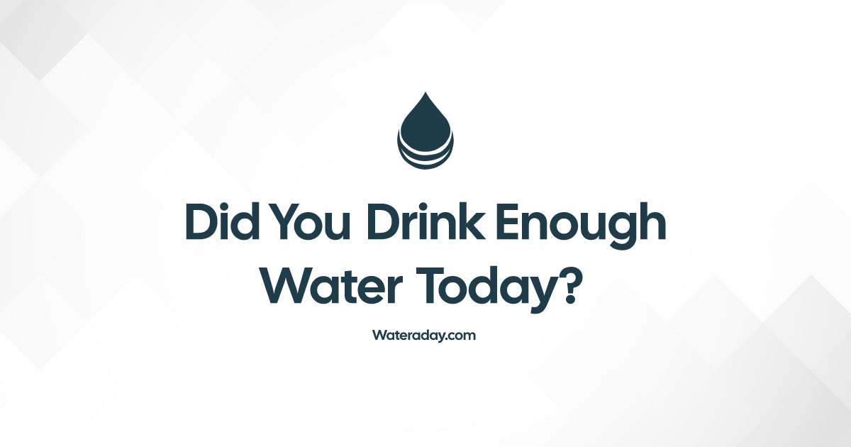 How Much Water Should You Drink Daily? · Water a Day